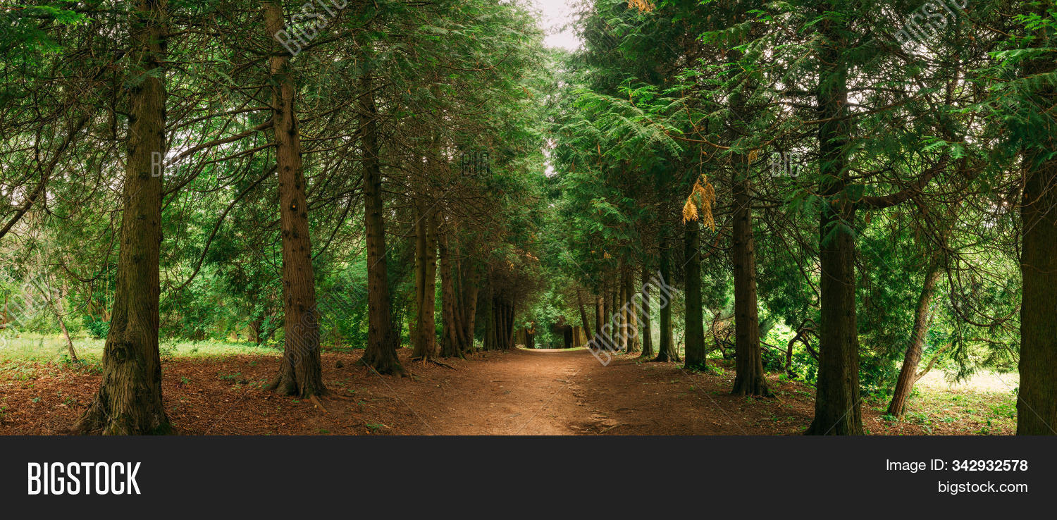 Walkway Lane Path Image & Photo (Free Trial) | Bigstock