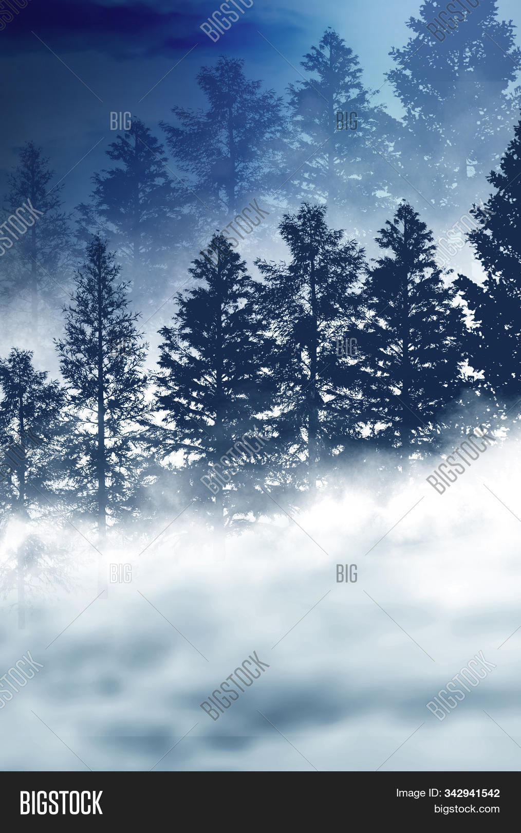 Dark Winter Forest Image & Photo (Free Trial) | Bigstock