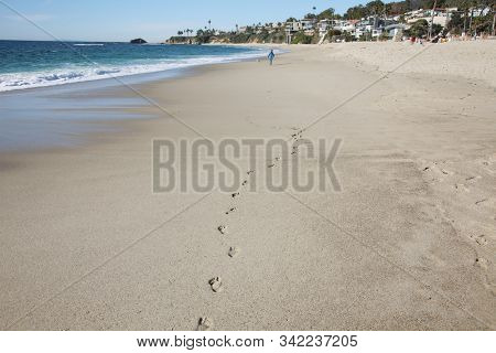 Footsteps On Beach. Image & Photo (Free Trial) | Bigstock