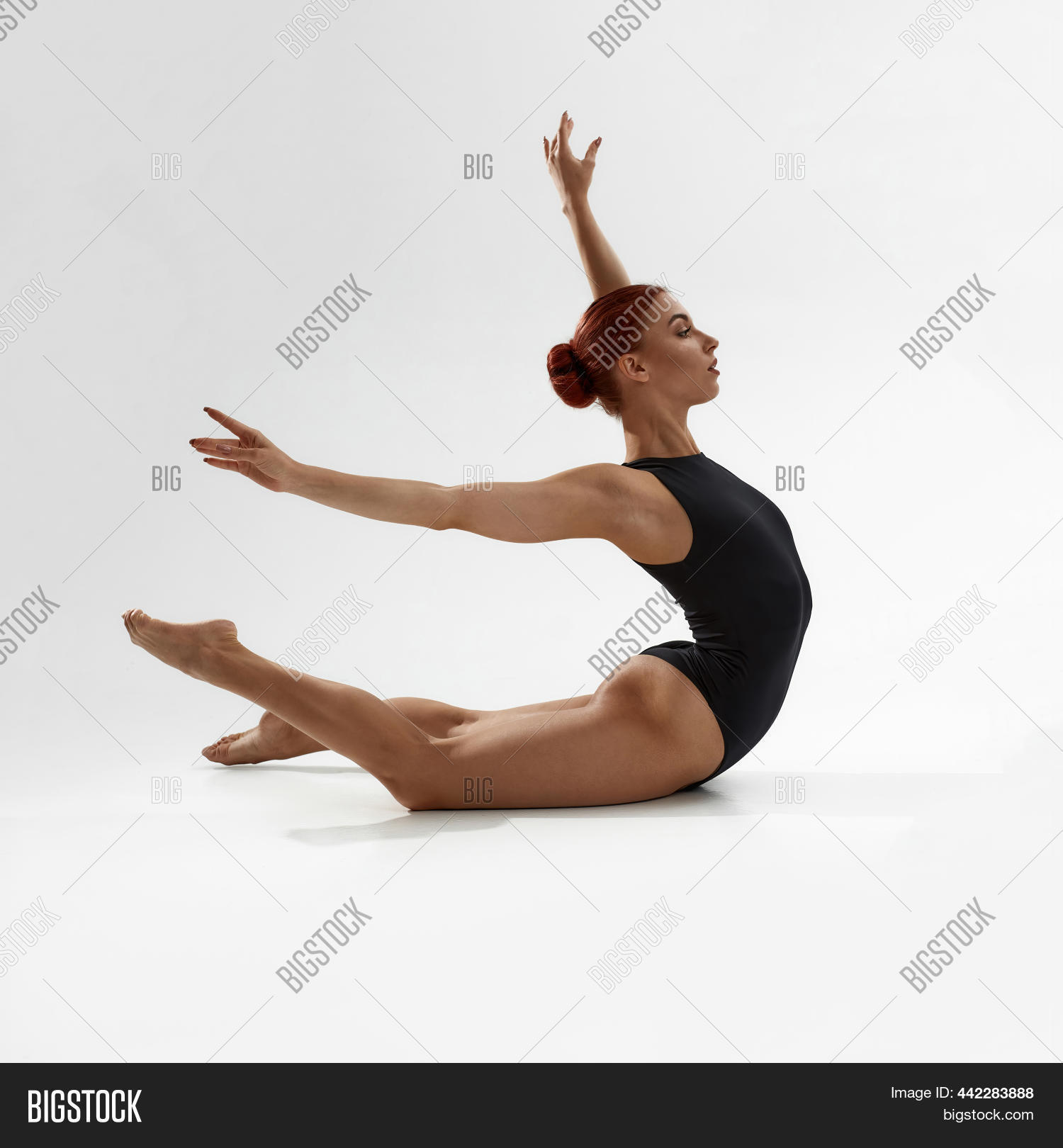 Flexible Ballet Dancers
