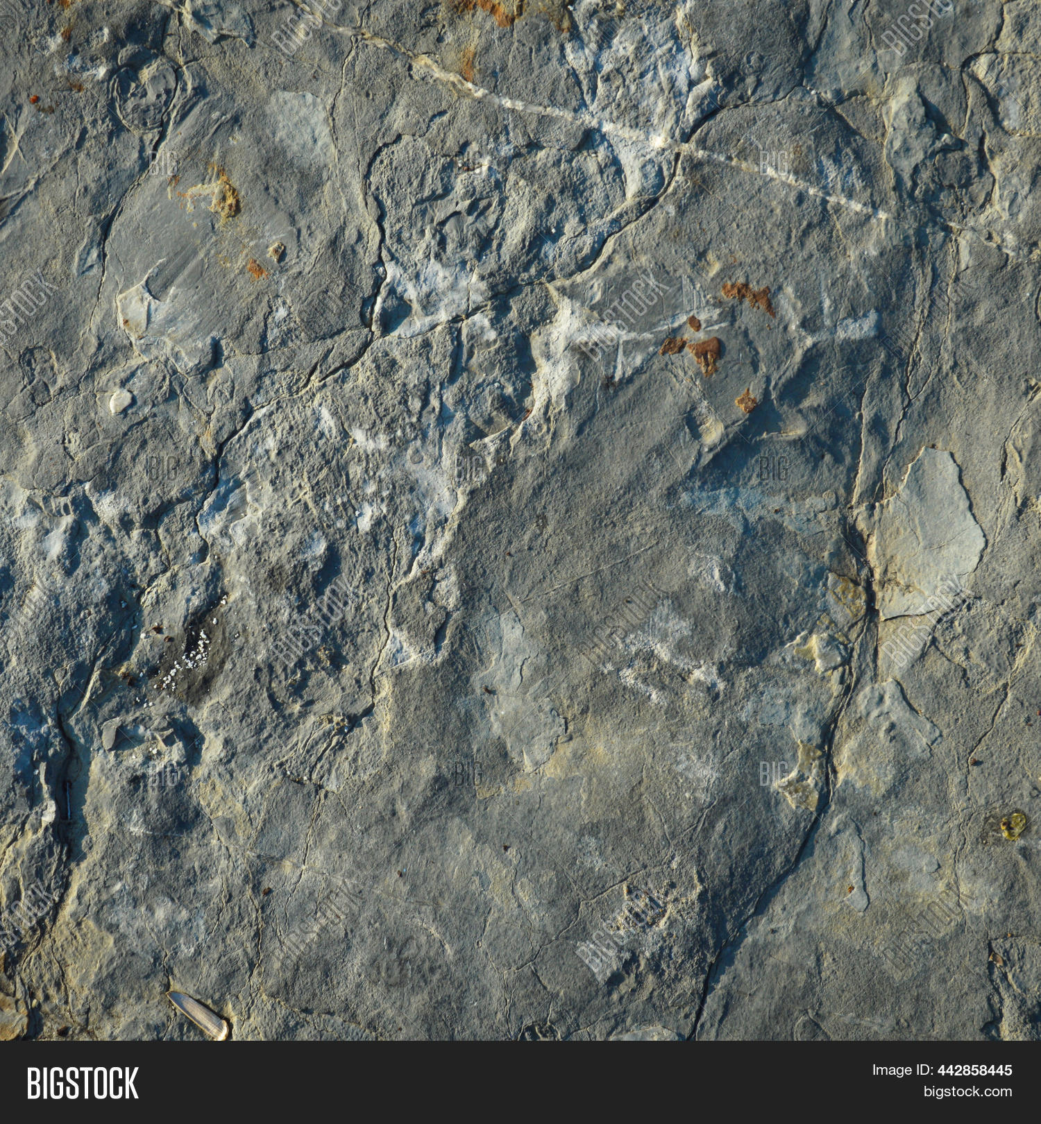 Very Hard Rock Texture Image & Photo (Free Trial) | Bigstock