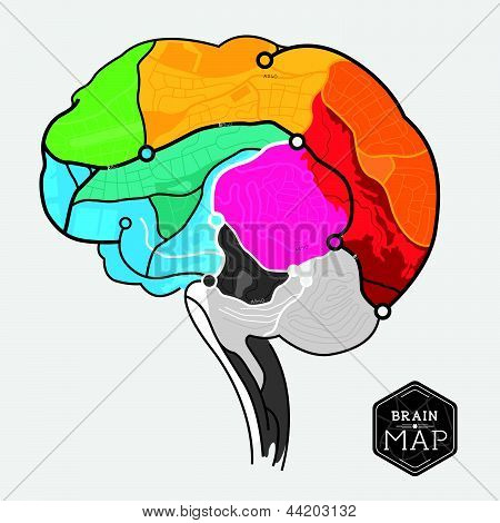 Vector Brain Map Vector & Photo (Free Trial) | Bigstock