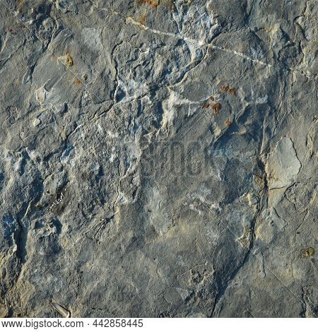 Very Hard Rock Texture Image & Photo (Free Trial) | Bigstock