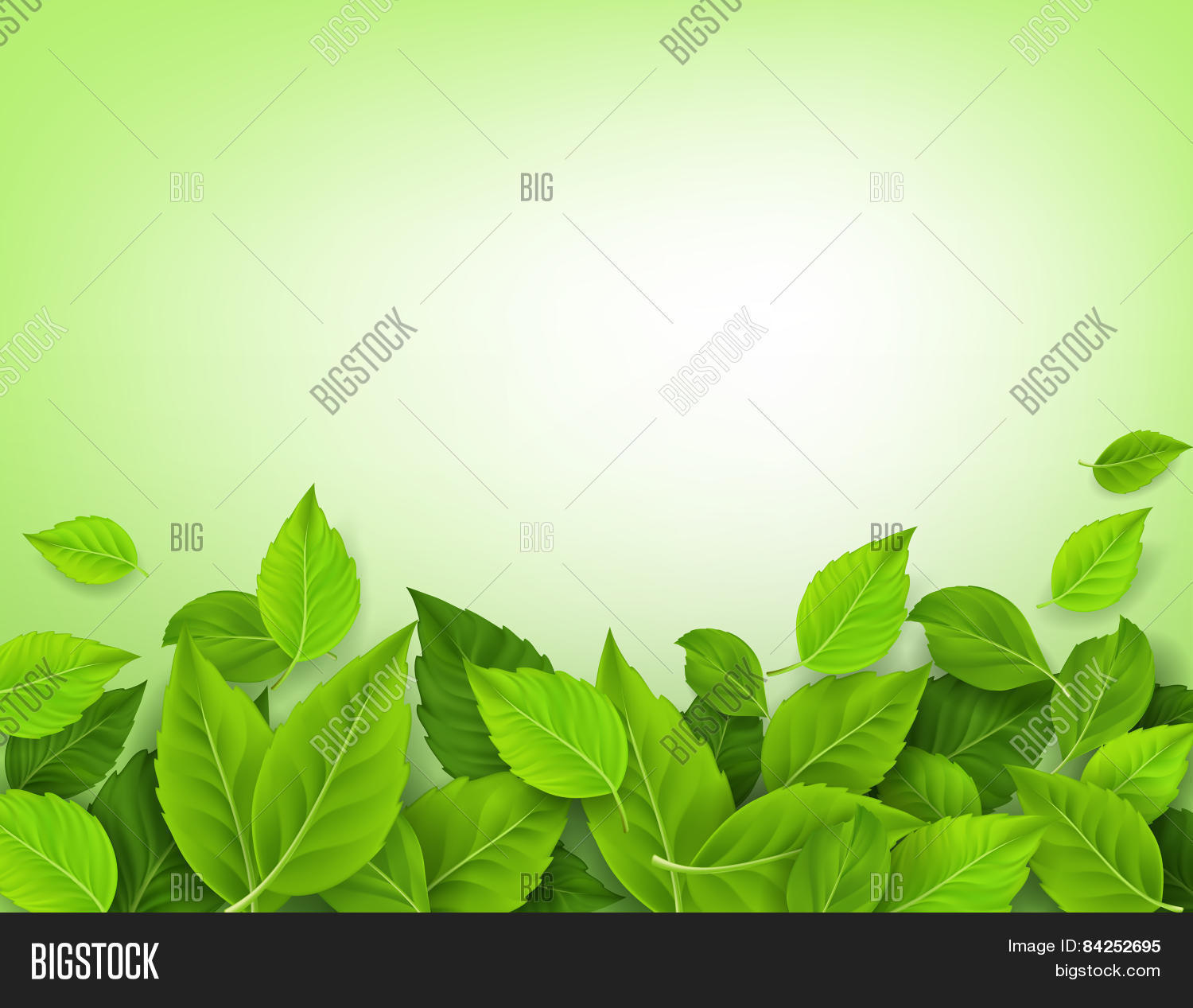 Realistic Leaves Vector & Photo (Free Trial) | Bigstock