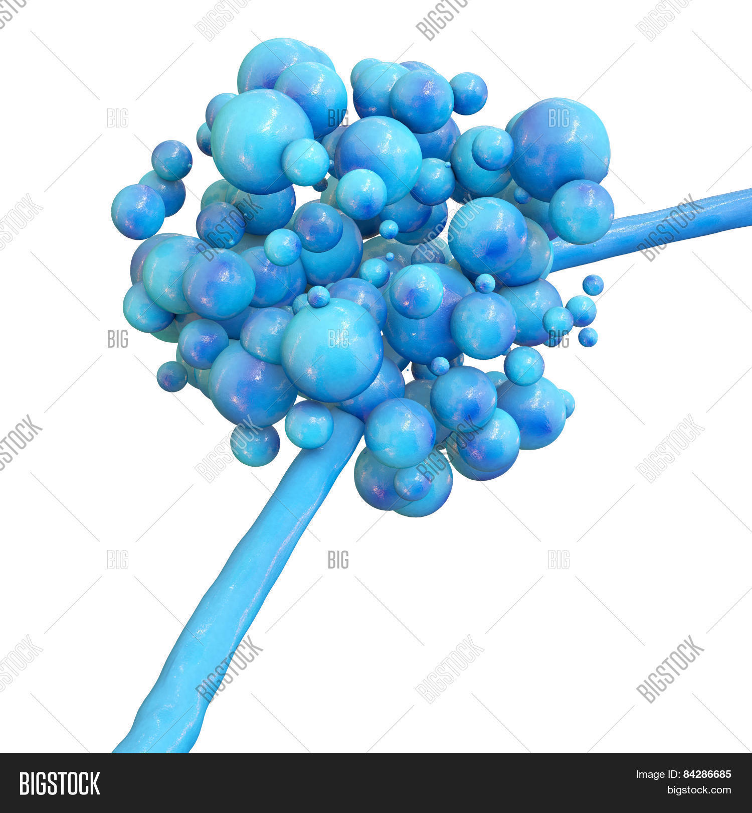 Candida - 3D Rendered Image & Photo (Free Trial) | Bigstock