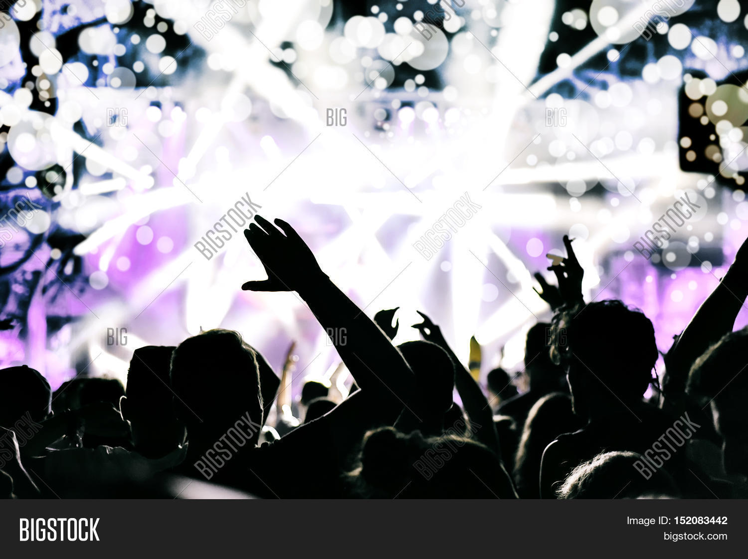 Crowd Celebrating New Image & Photo (Free Trial) | Bigstock