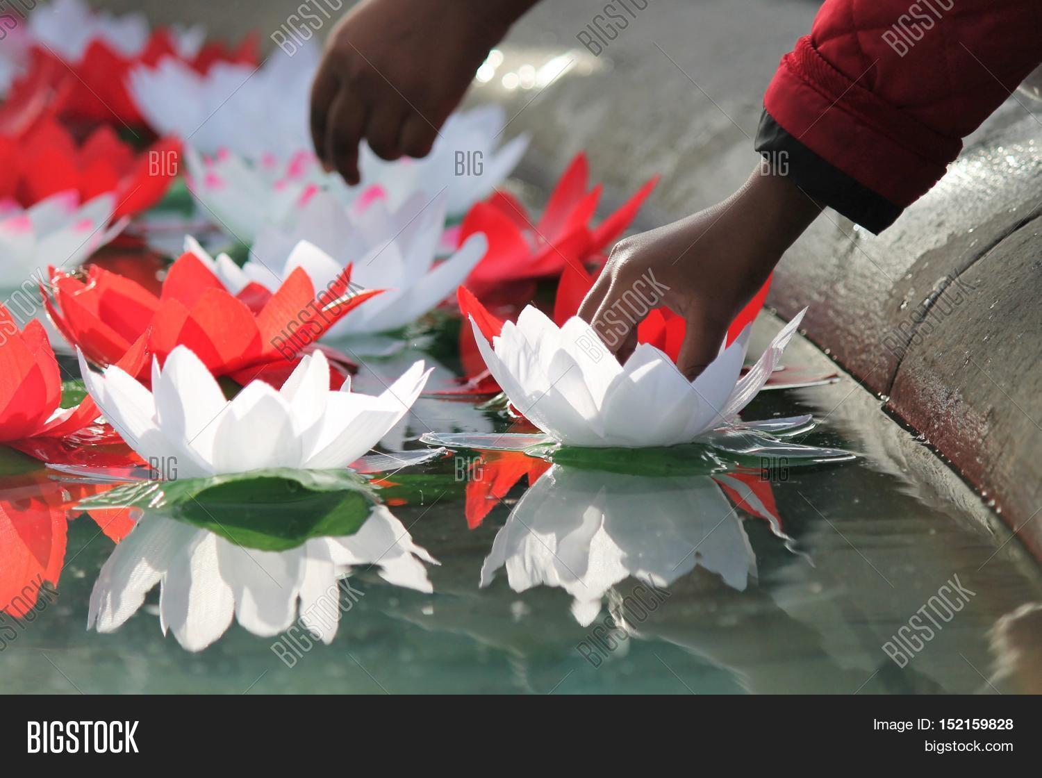 Festival Diwali Lotus Image & Photo (Free Trial) | Bigstock