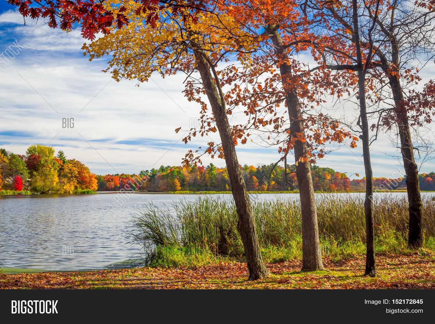 Autumn Vibrant Colors Image & Photo (Free Trial) | Bigstock