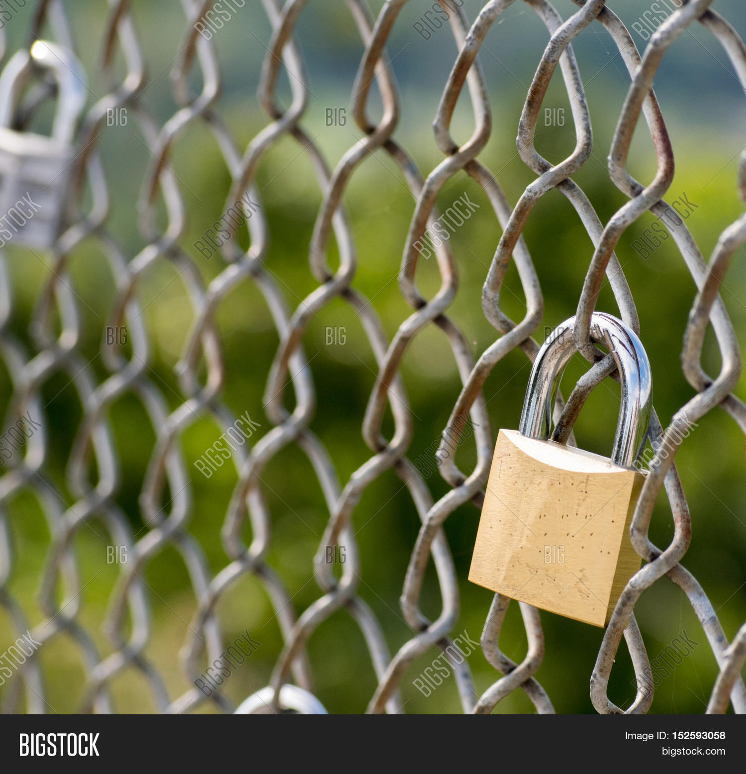 Love Locks On Chain Image & Photo (Free Trial) | Bigstock