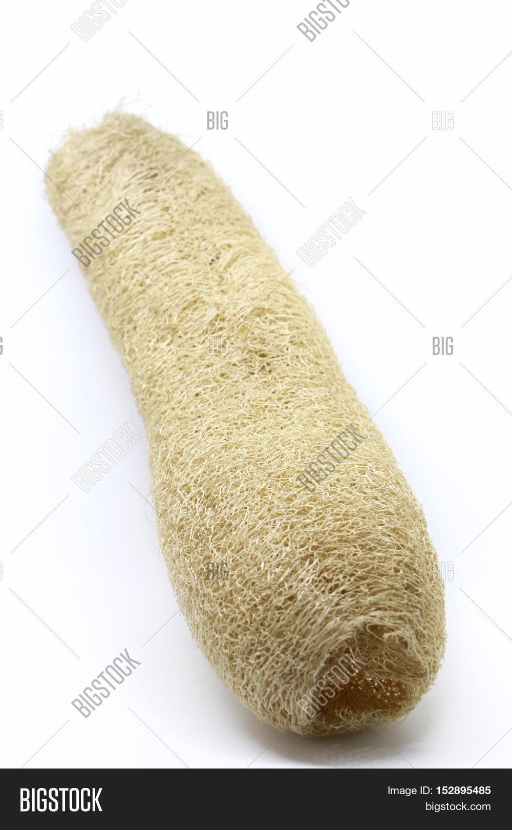 Dry Luffa, Luffa Image & Photo (Free Trial) | Bigstock
