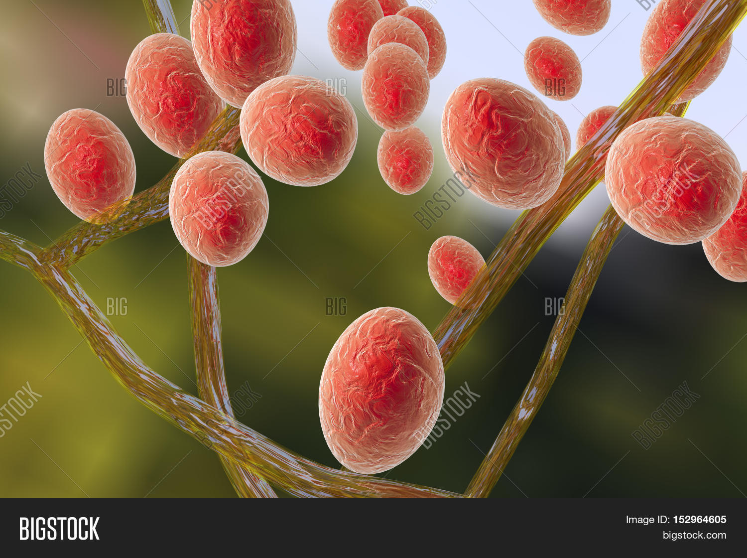 3D Illustration Fungi Image & Photo (Free Trial) | Bigstock