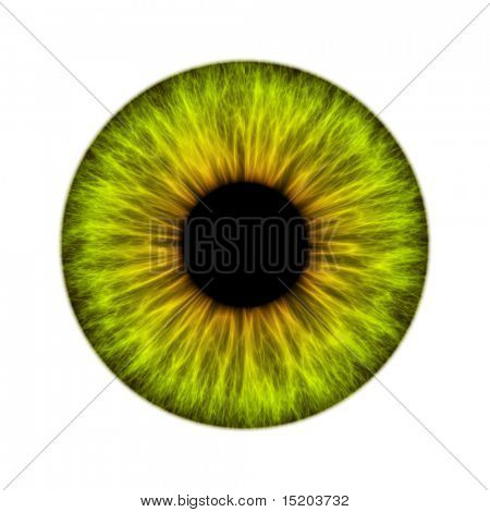 Green Iris Texture Image & Photo (Free Trial) | Bigstock