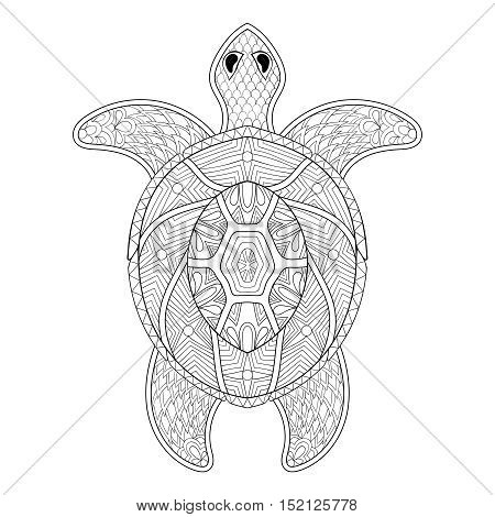 Turtle Zentangle Vector & Photo (Free Trial) | Bigstock