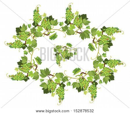 Oval Grapes Frame Vector & Photo (Free Trial) | Bigstock
