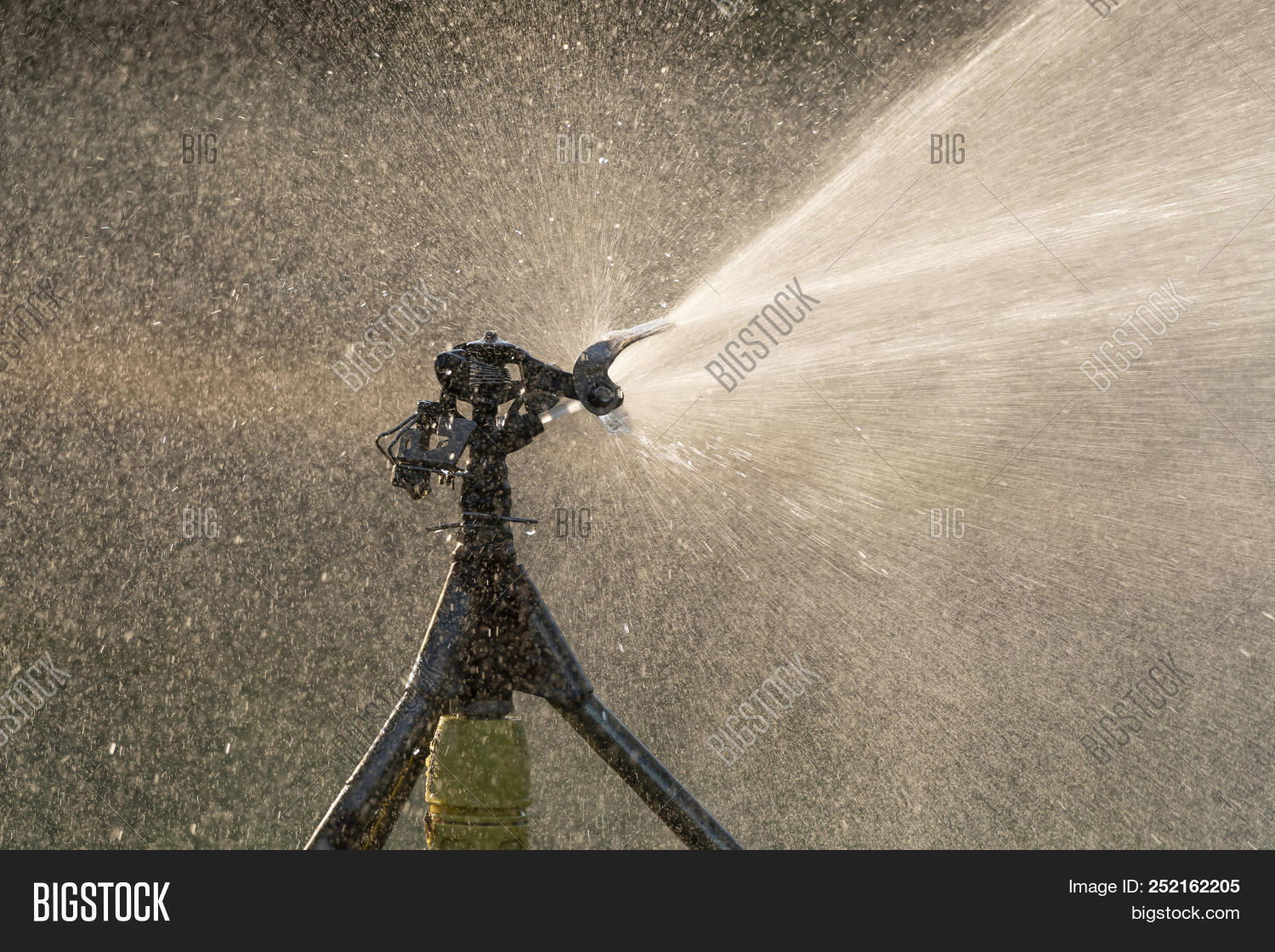 Top Water Sprayer Image & Photo (Free Trial) | Bigstock