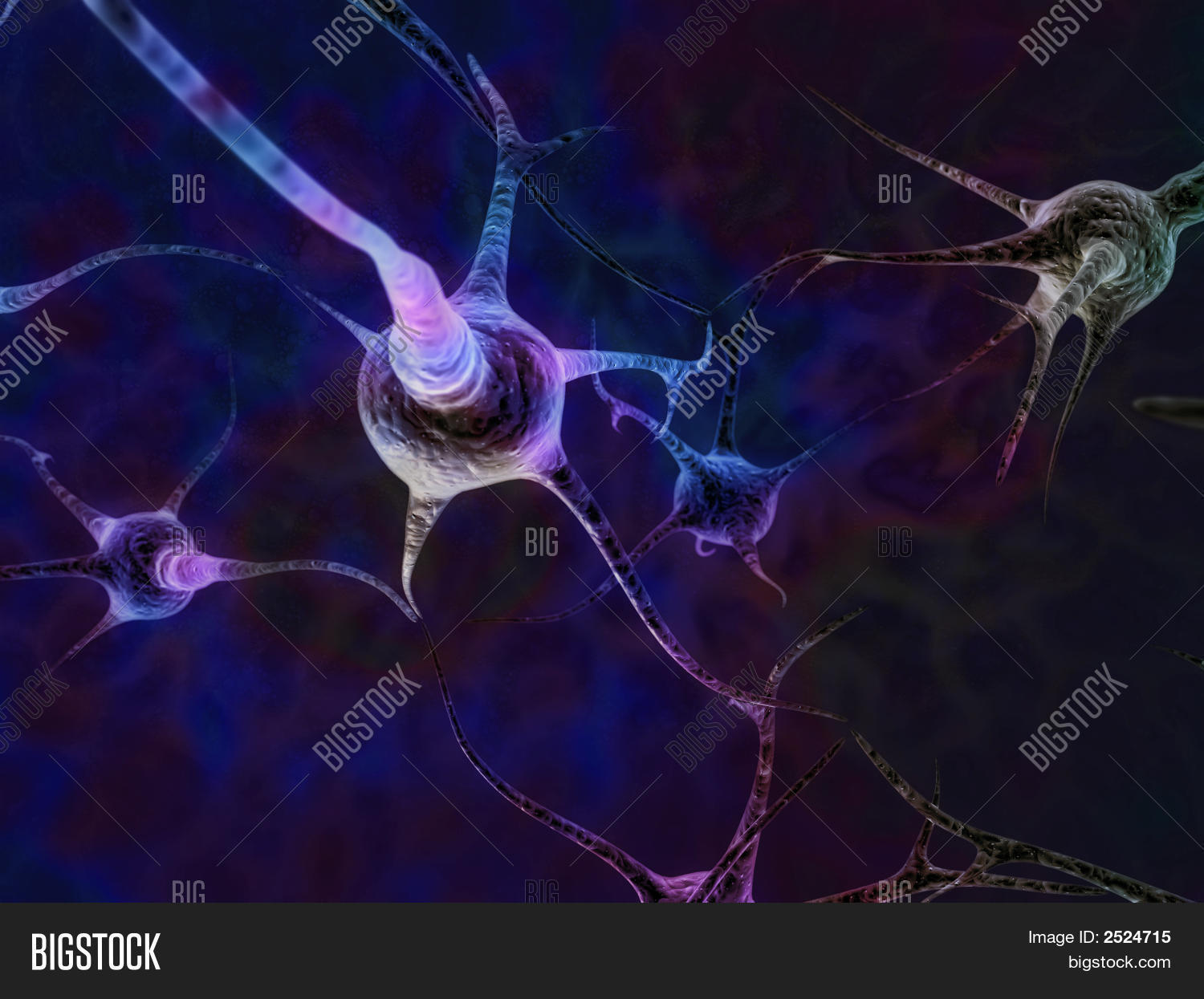Interconnecting Brain Image & Photo (Free Trial) | Bigstock
