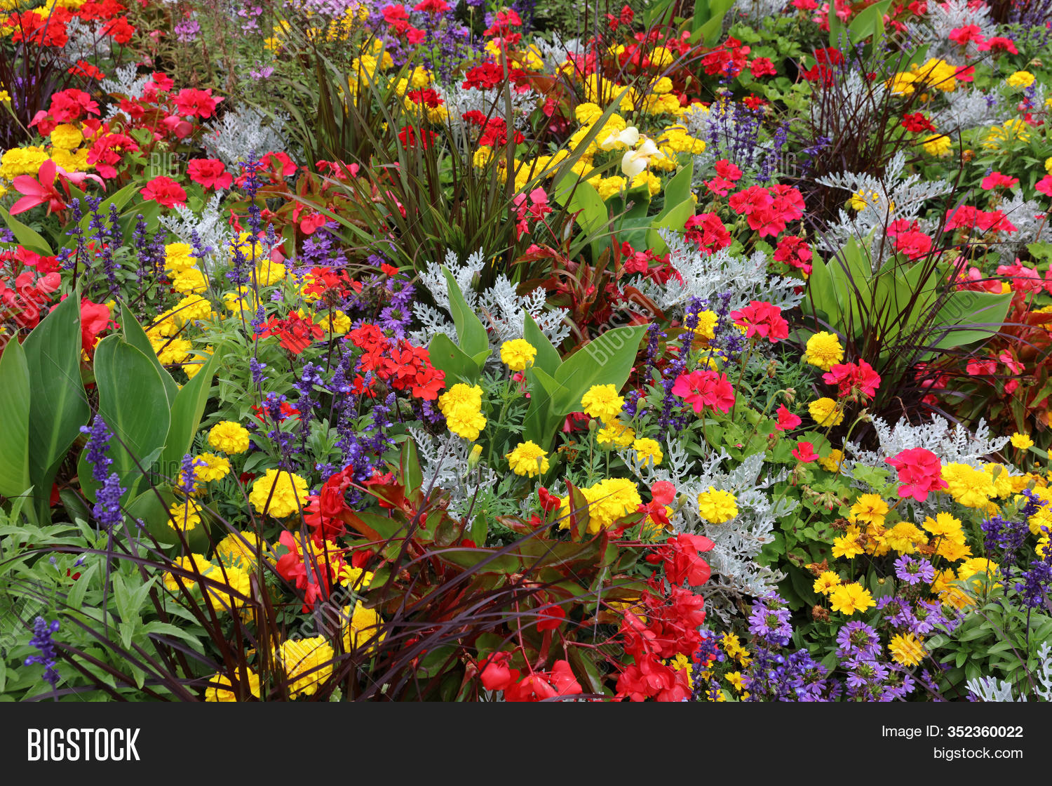 Wonderful Fresh Summer Image & Photo (Free Trial) | Bigstock