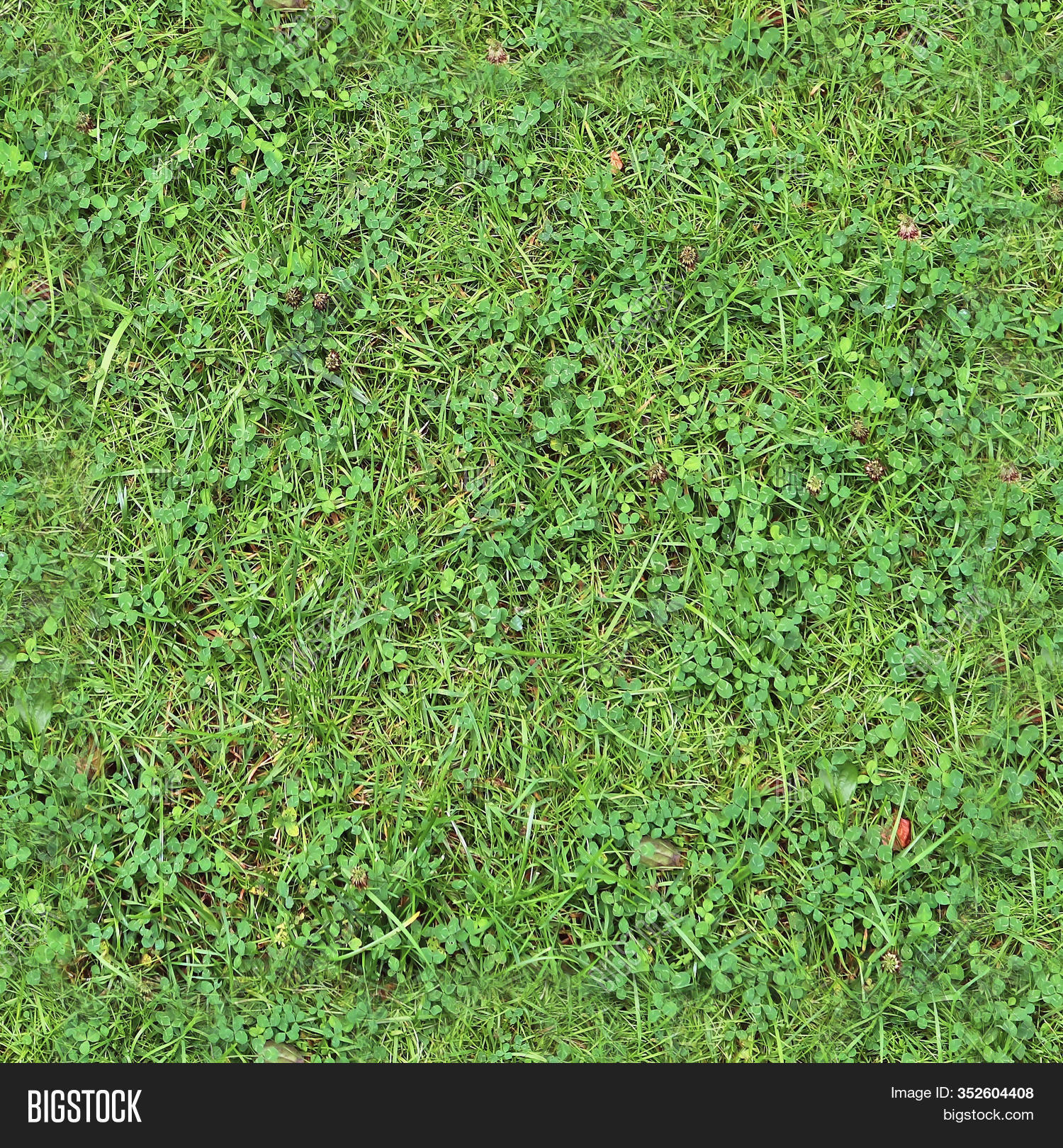 Photo Realistic Image & Photo (Free Trial) | Bigstock