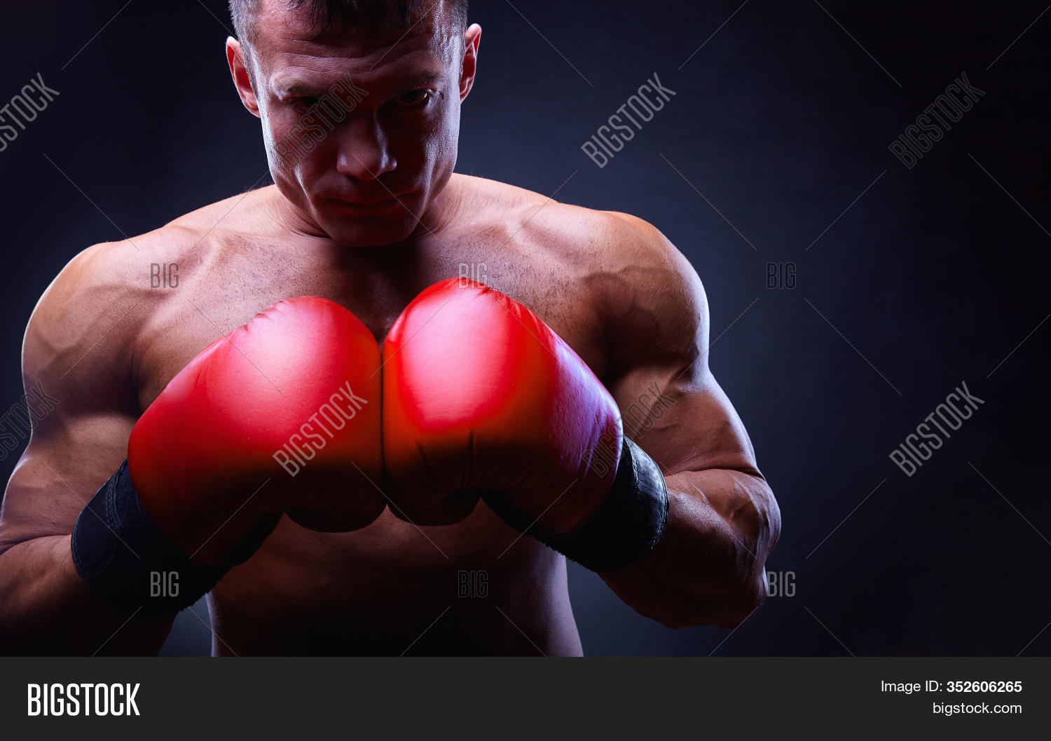 Boxing Concept. Boxer Image & Photo (Free Trial) | Bigstock