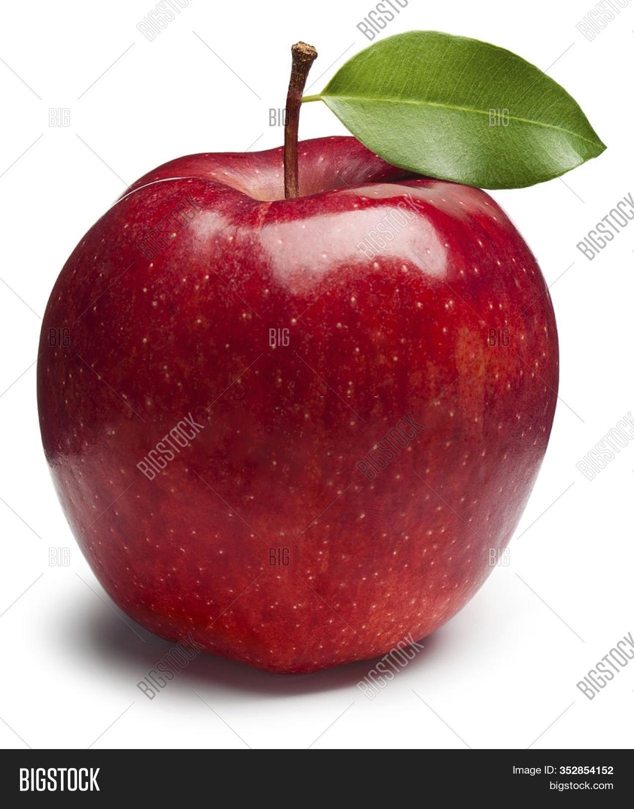 Fresh Apples. Apples Image & Photo (Free Trial) | Bigstock