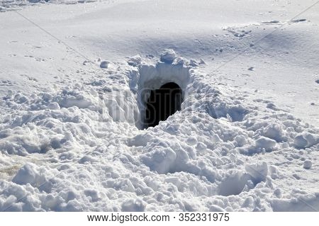 Entrance Fox Hole Snow Image & Photo (Free Trial) | Bigstock