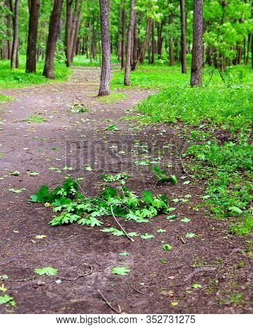 Flatlus Images, Illustrations & Vectors (Free) - Bigstock