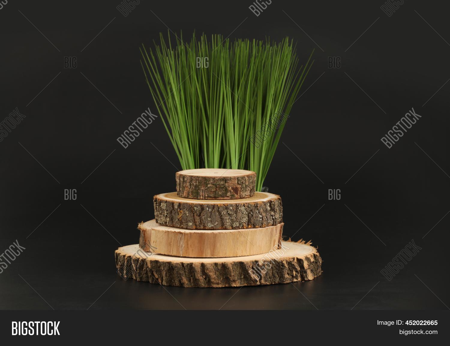 Eco Rustic Wood Circle Image & Photo (Free Trial) | Bigstock