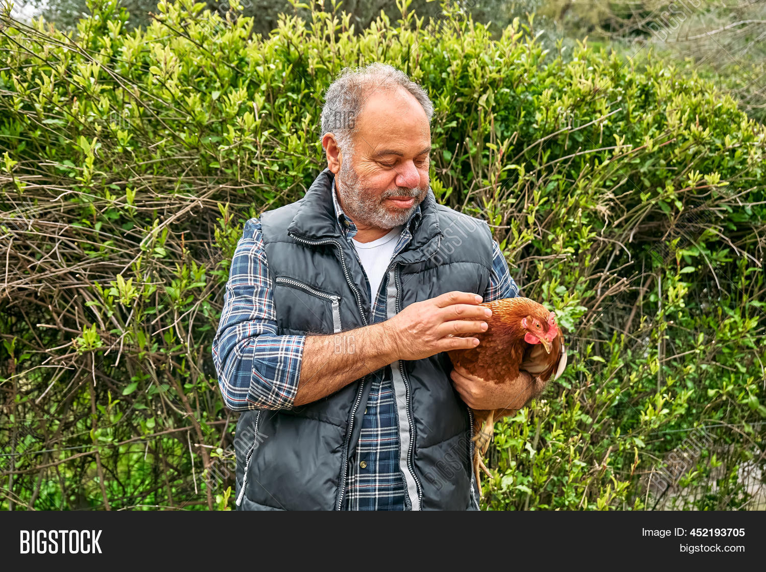 Man Holding Hen His Image & Photo (Free Trial) | Bigstock