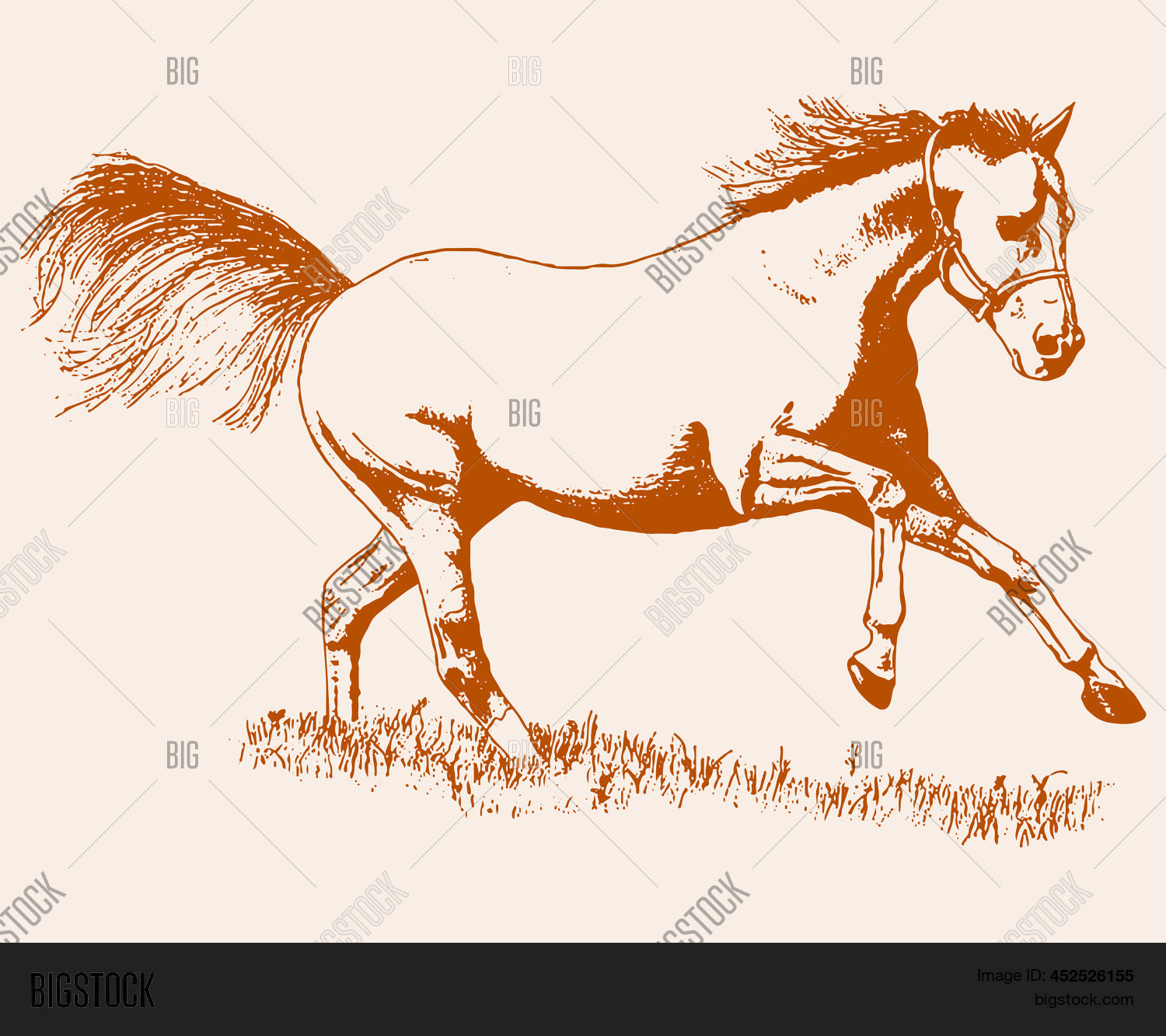 Sketch Running Horse Vector & Photo (Free Trial) | Bigstock