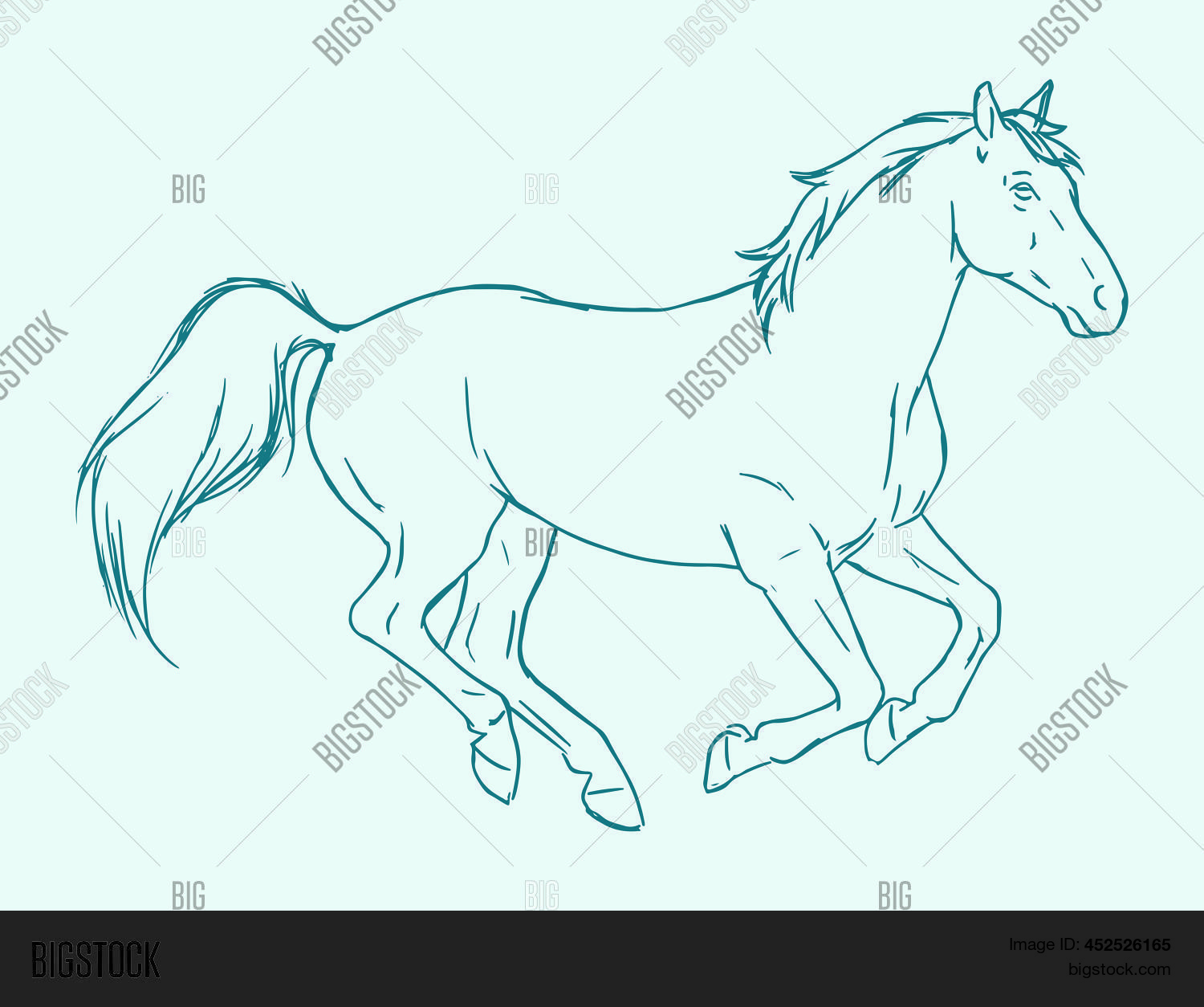 Sketch Running Horse Vector & Photo (Free Trial) | Bigstock
