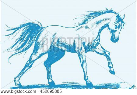 Sketch Running Horse Vector & Photo (Free Trial) | Bigstock
