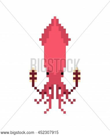 Vector y foto Squid Pixel Art (prueba gratis) | Bigstock