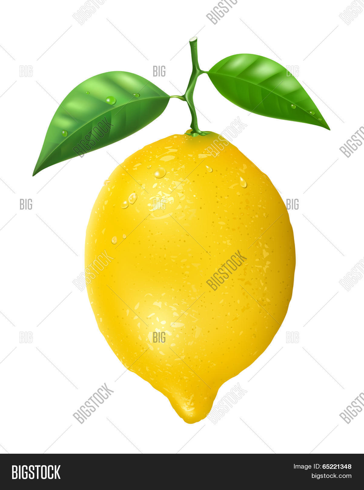 Fresh Yellow Lemon Vector & Photo (Free Trial) | Bigstock