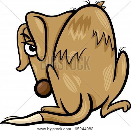 Poor Homeless Dog Vector & Photo (Free Trial) | Bigstock