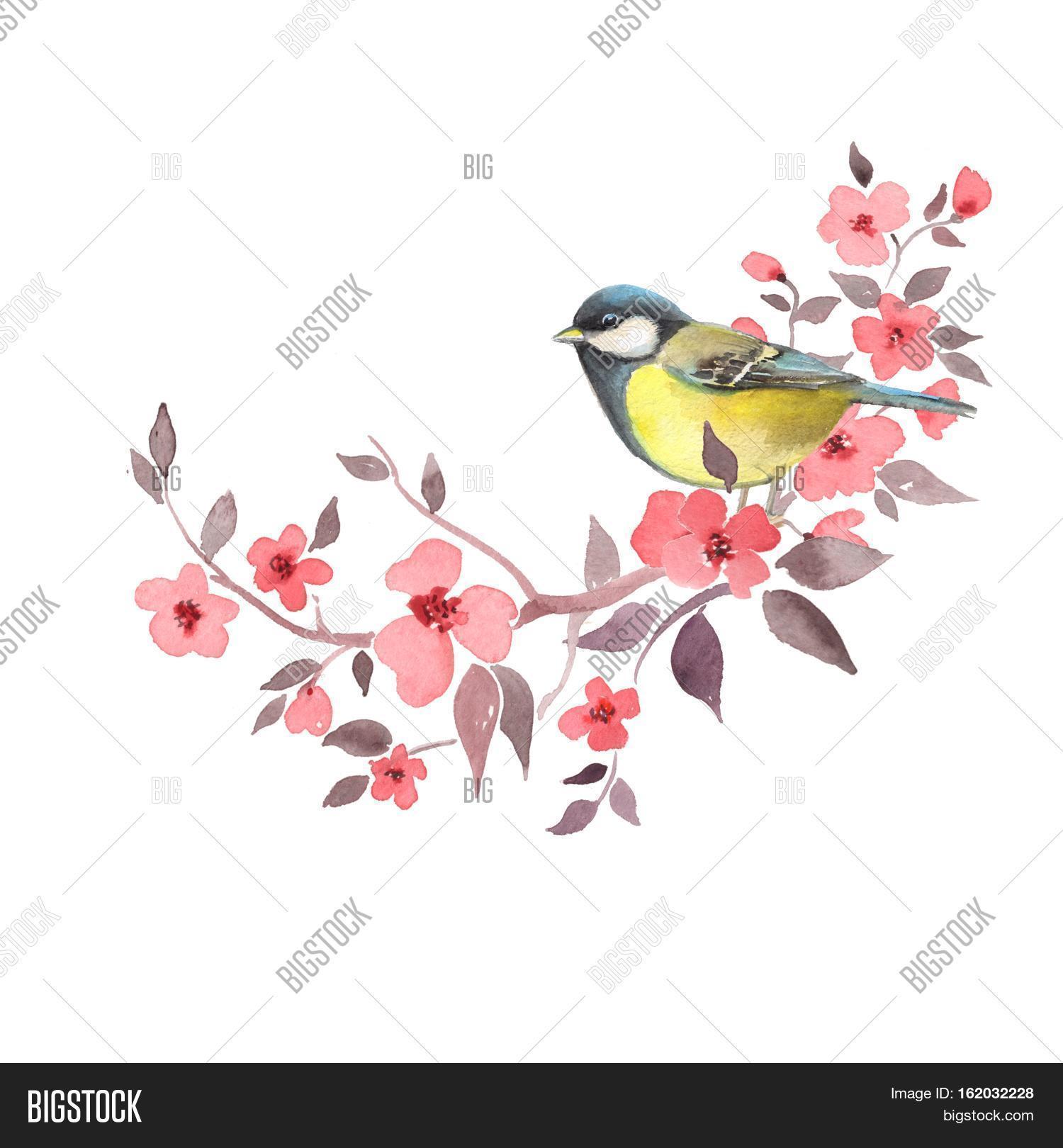 Bird On Floral Branch Image & Photo (Free Trial) | Bigstock
