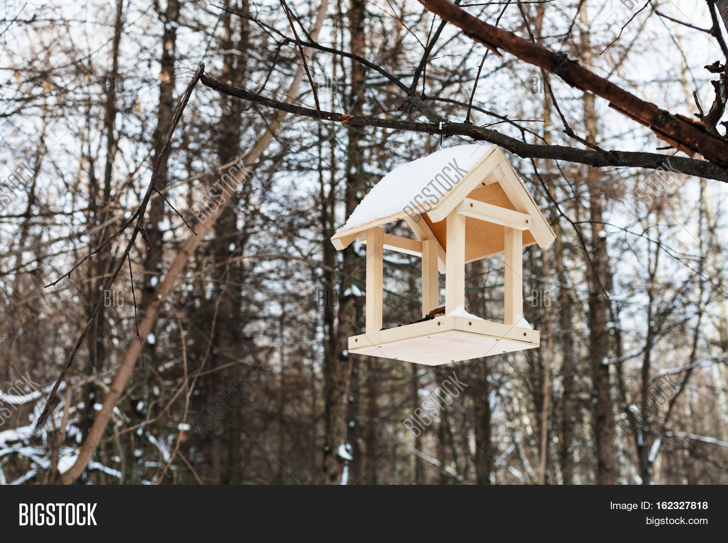 Bird Feeder On Tree Image & Photo (Free Trial) | Bigstock