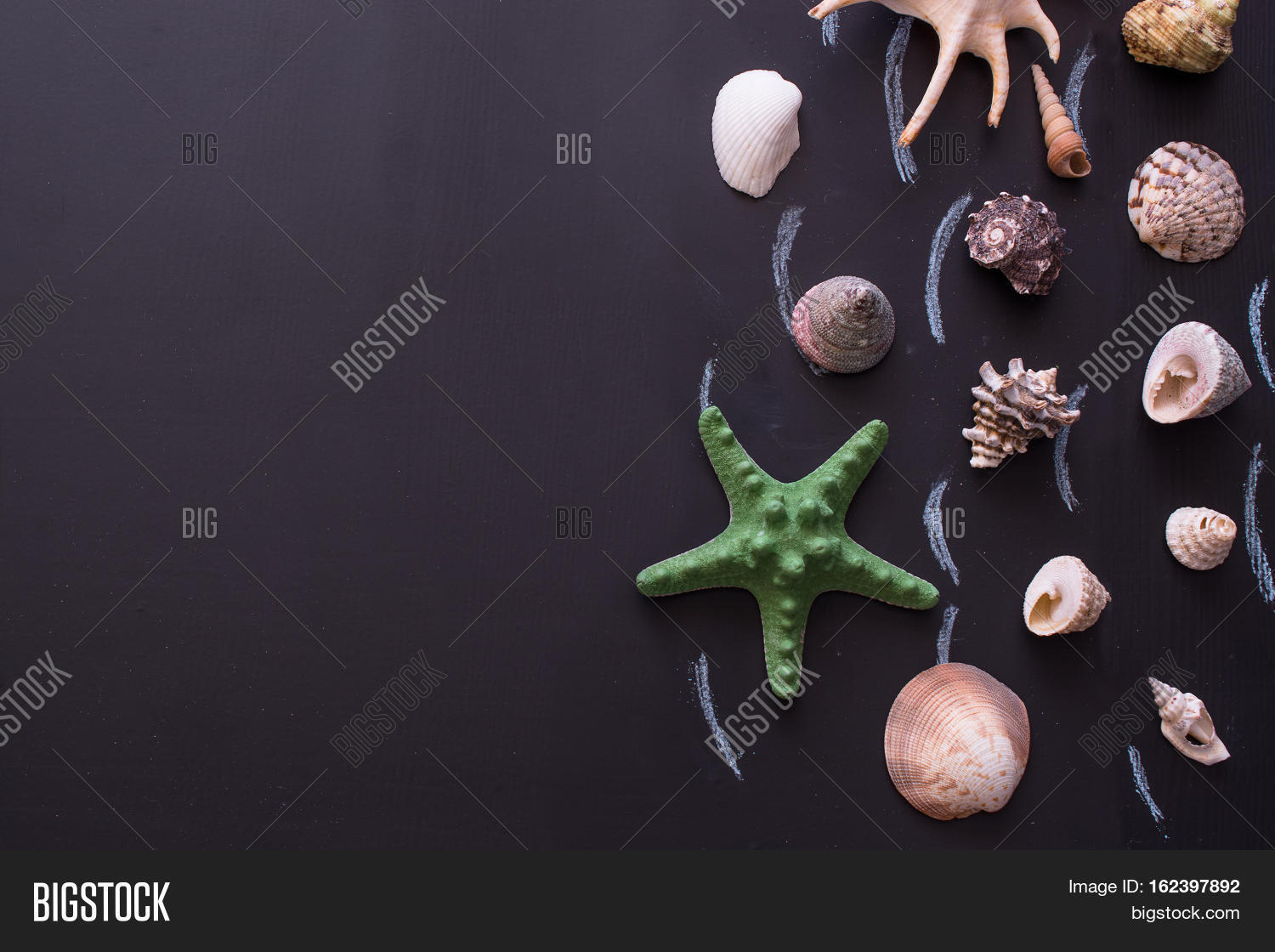Sea Shells Starfish Image & Photo (Free Trial) | Bigstock