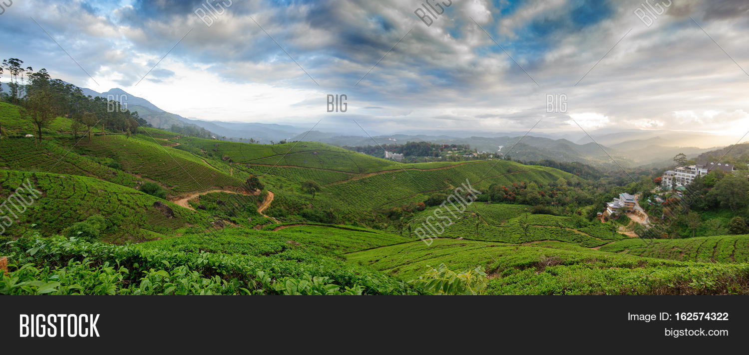 Panoramic View Munnar Image & Photo (Free Trial) | Bigstock