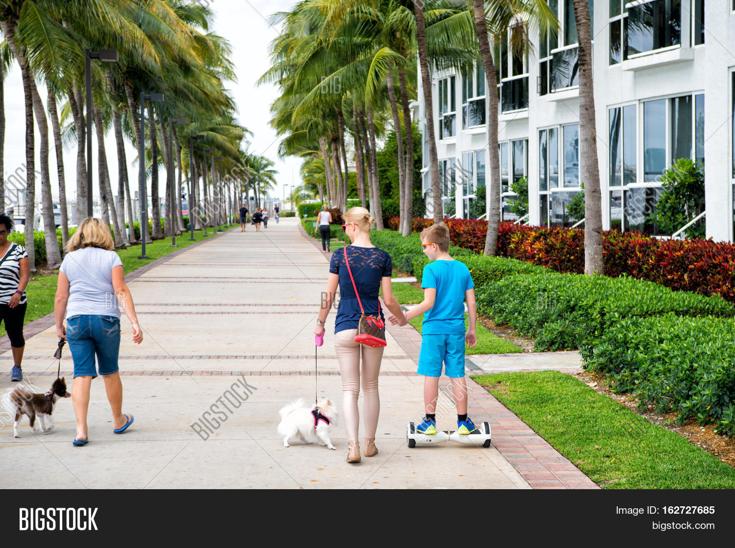 Miami USA - February Image & Photo (Free Trial) | Bigstock