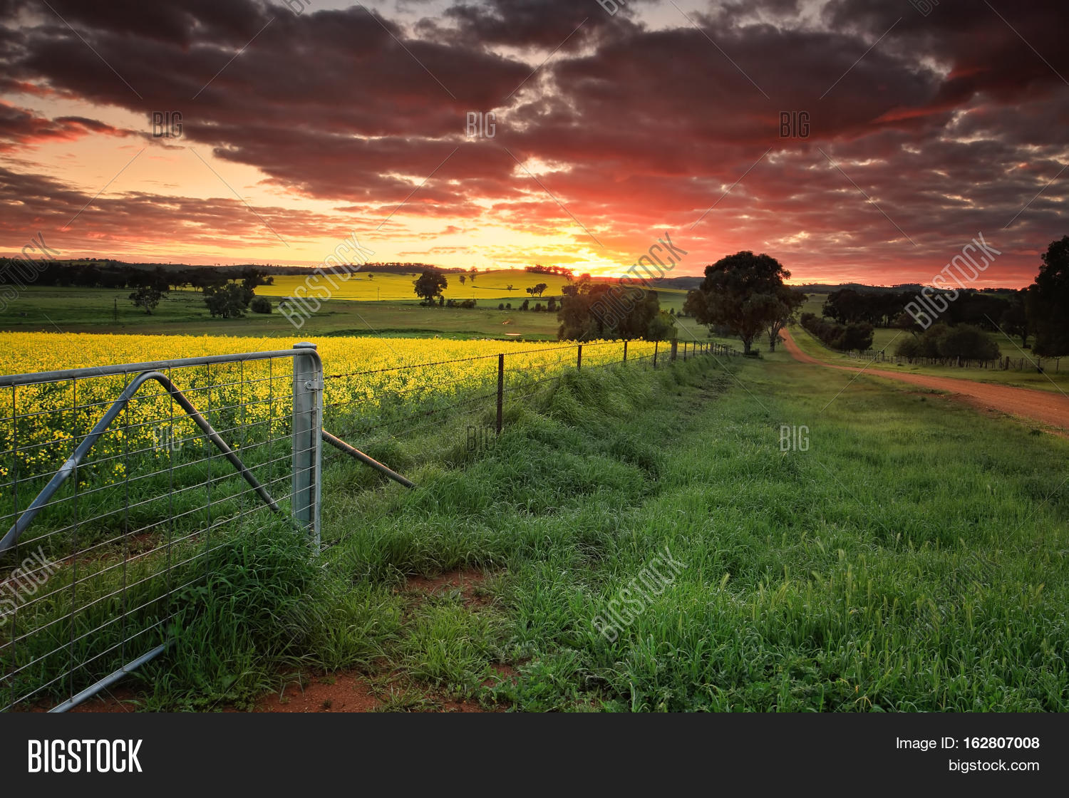 Sunrise Farmlands Image & Photo (Free Trial) | Bigstock