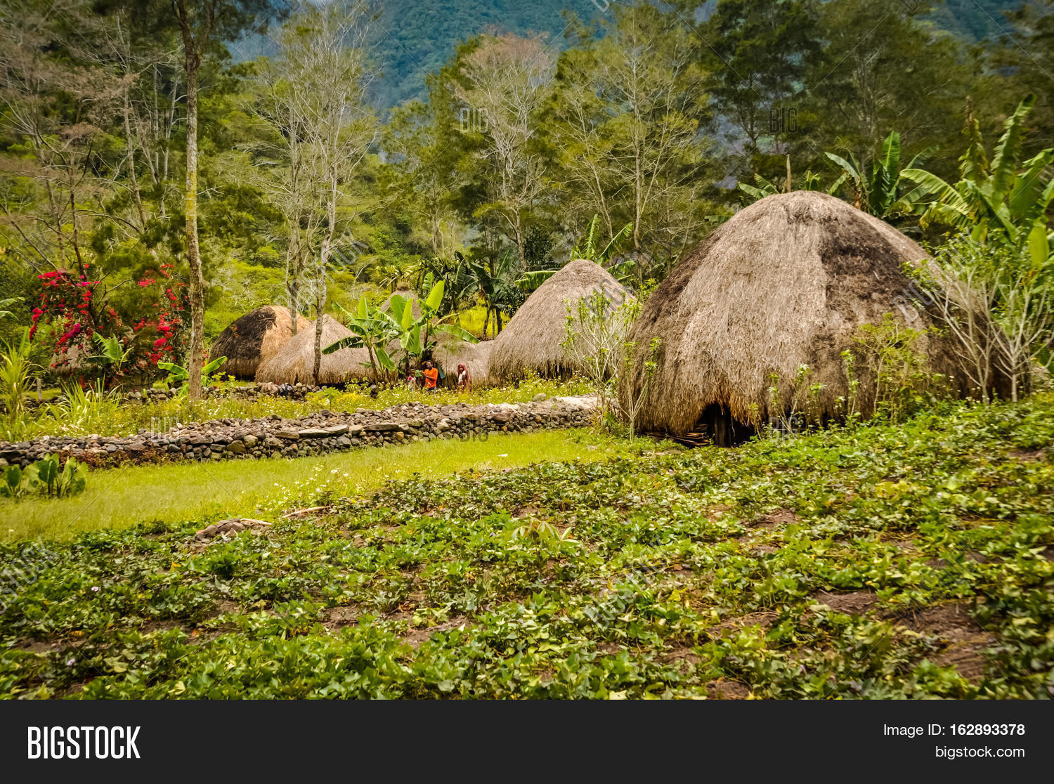 Straw Houses Gardens Image & Photo (Free Trial) | Bigstock