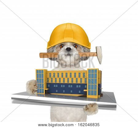 Cute Dog Builder Image & Photo (Free Trial) | Bigstock
