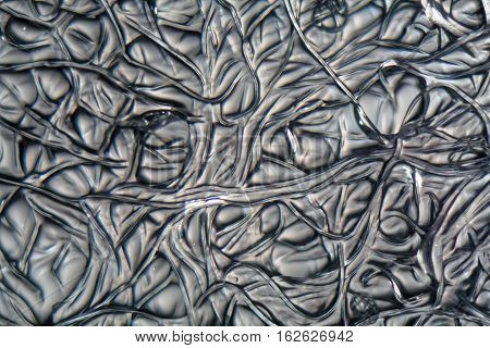 Fibers Cellulose Image & Photo (Free Trial) | Bigstock
