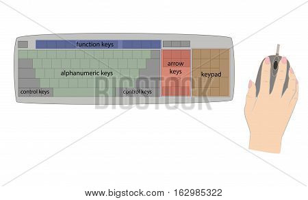 Correct Position Vector & Photo (Free Trial) | Bigstock