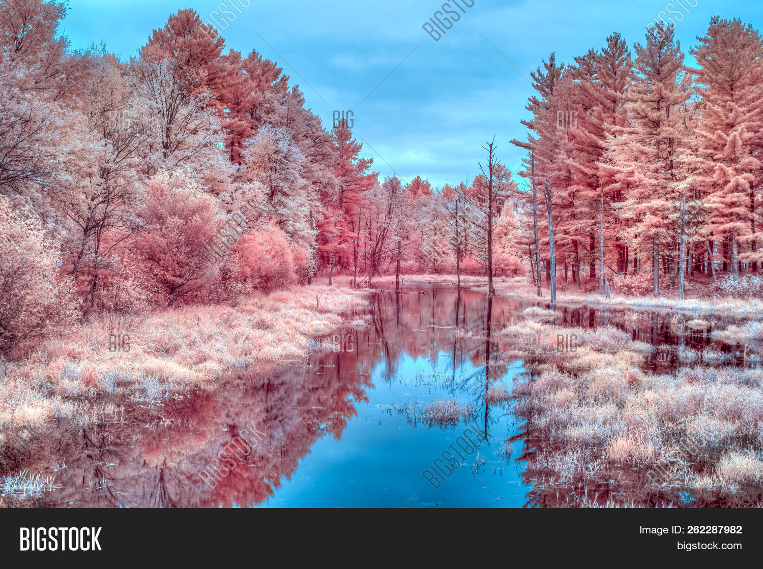 Vibrant Seasonal Image & Photo (Free Trial) | Bigstock