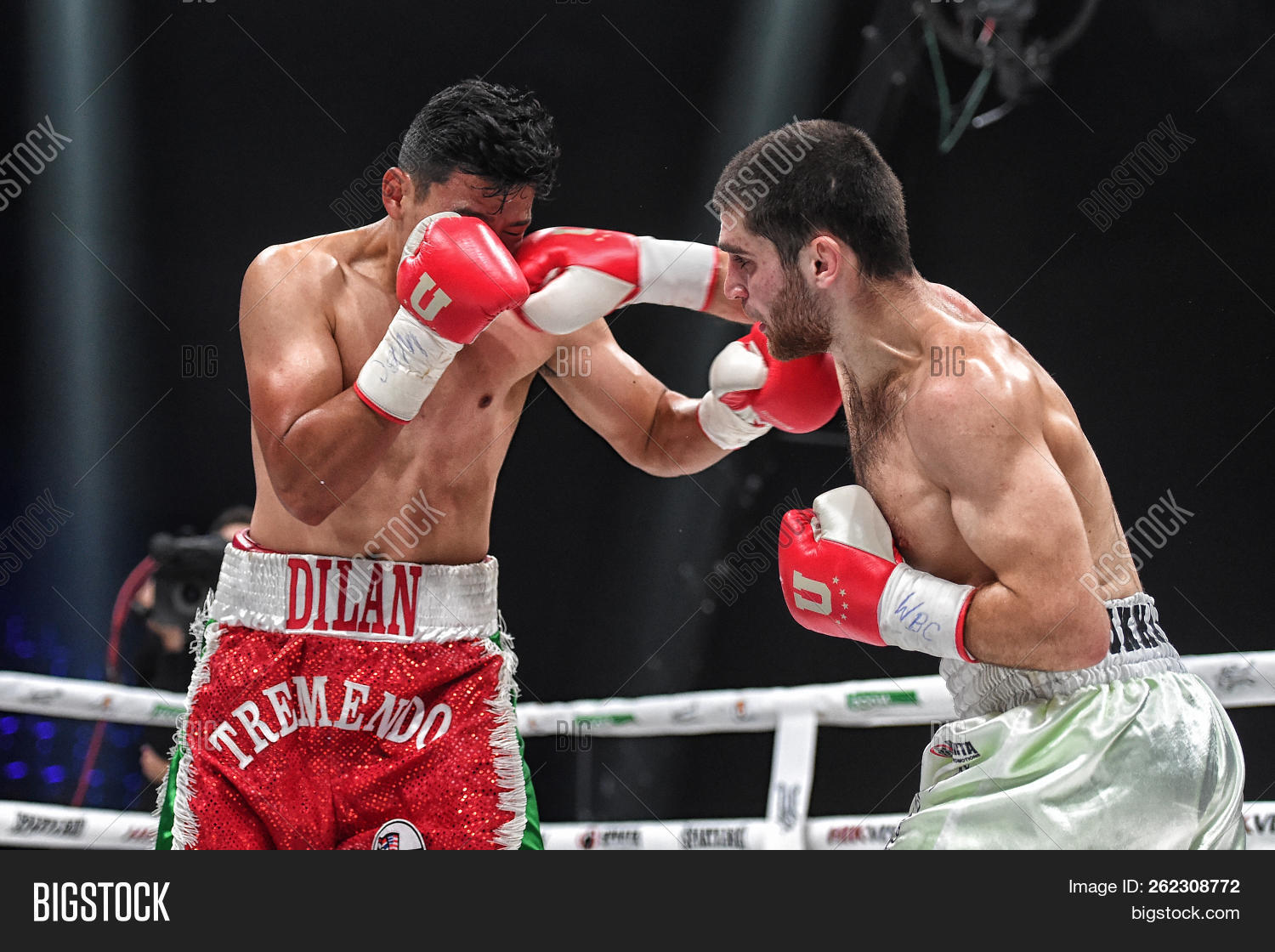 Boxers Karen Image & Photo (Free Trial) | Bigstock