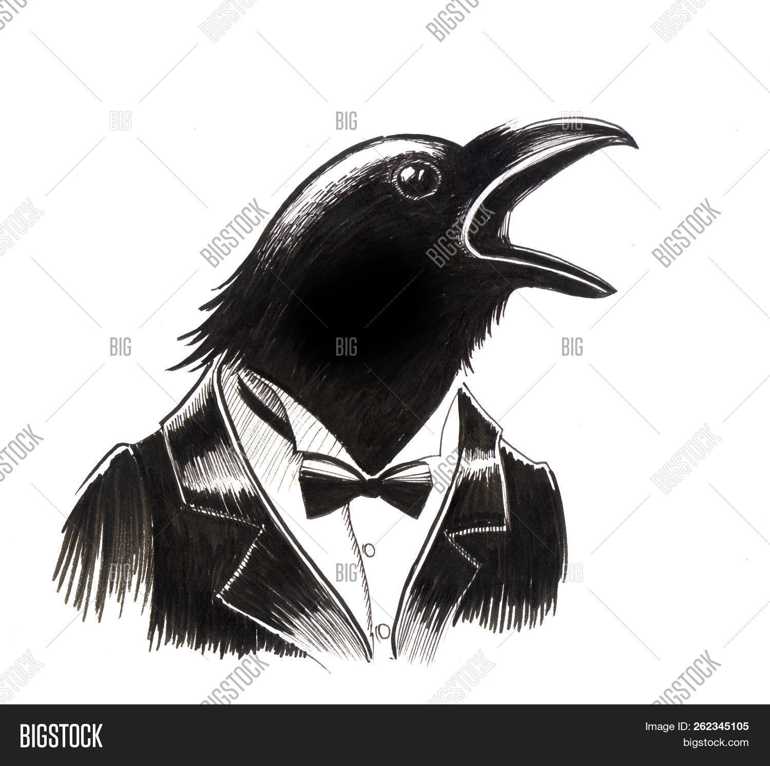 Singing Crow Bird. Ink Image & Photo (Free Trial) | Bigstock
