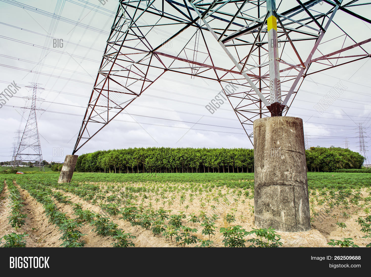 Transmission Line Image & Photo (Free Trial) | Bigstock