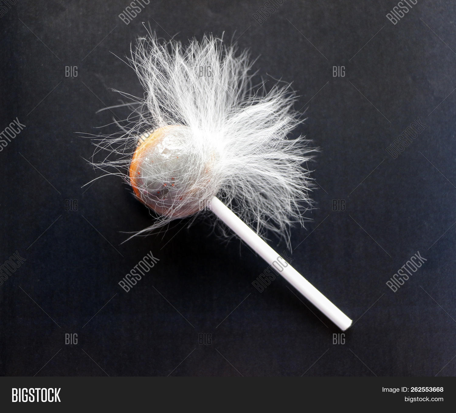 Fluffy Lollipop. Image & Photo (Free Trial) | Bigstock