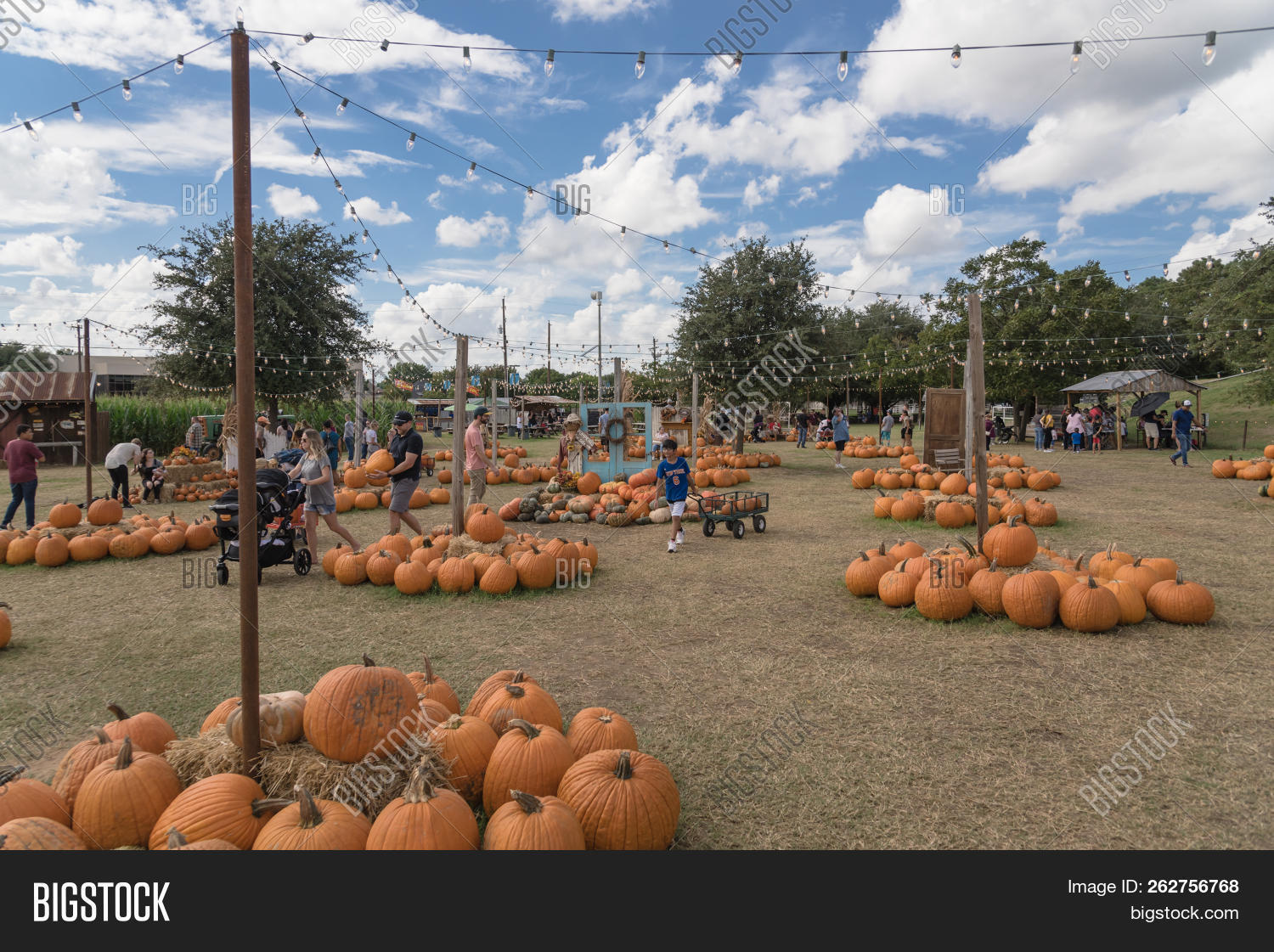 Pumpkins Decoration Image & Photo (Free Trial) | Bigstock